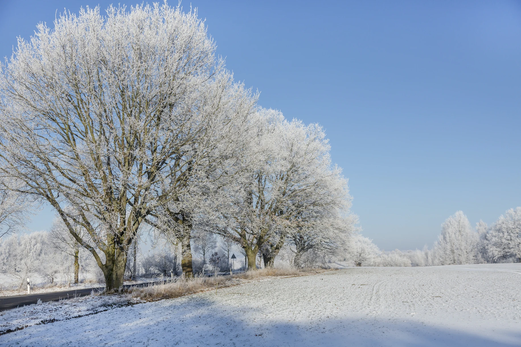 Winter Idyll In The North wallpaper - Happywall