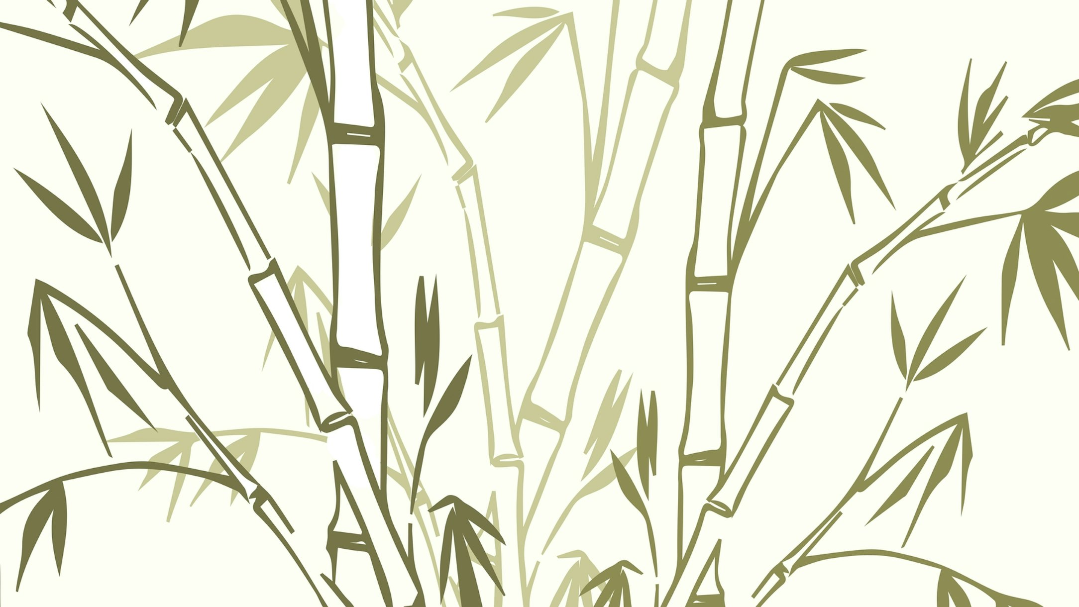 Bamboo Art wallpaper - Happywall