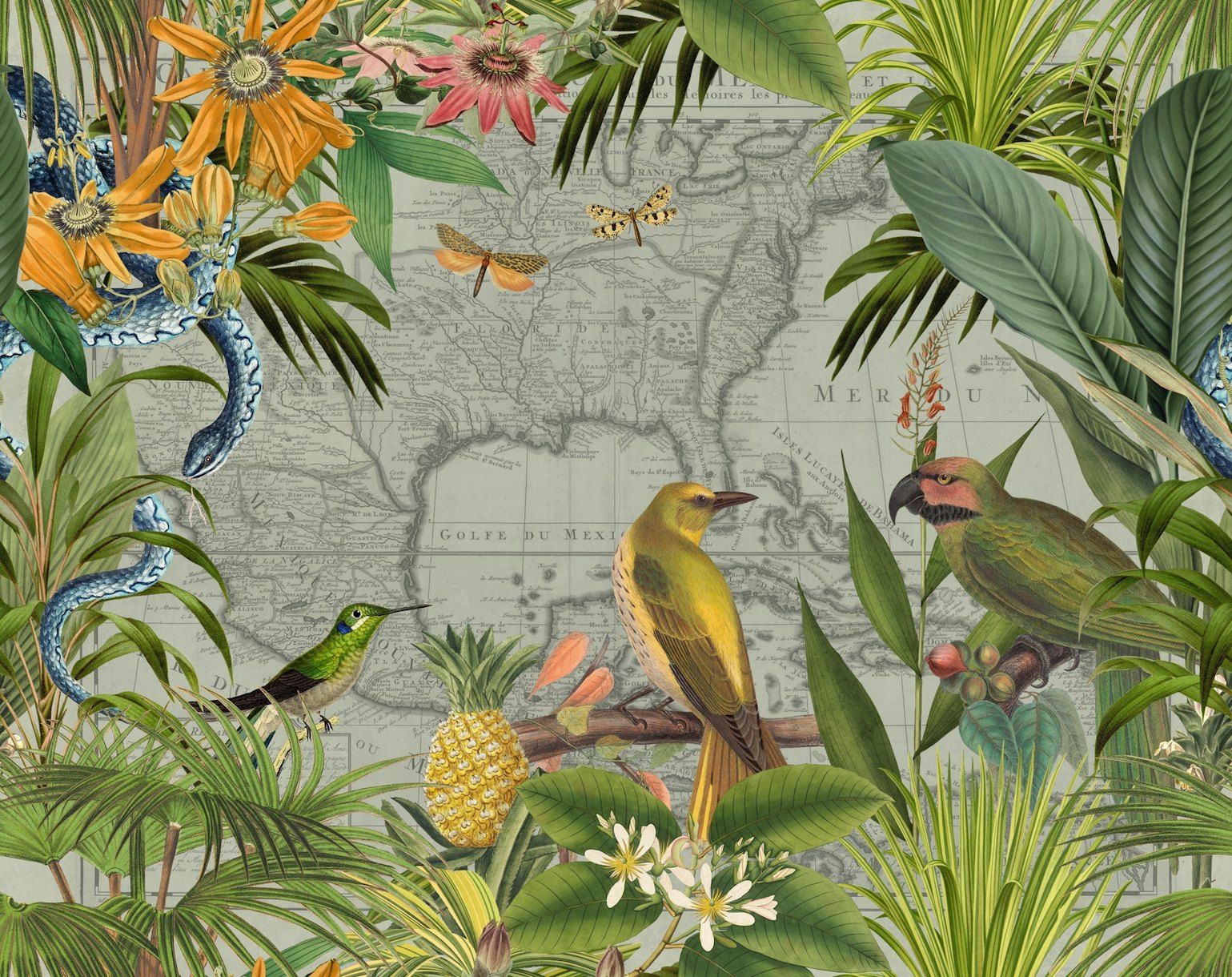 Vintage Old Florida Map Wallpaper & Mexico Mural Room Decoration ...