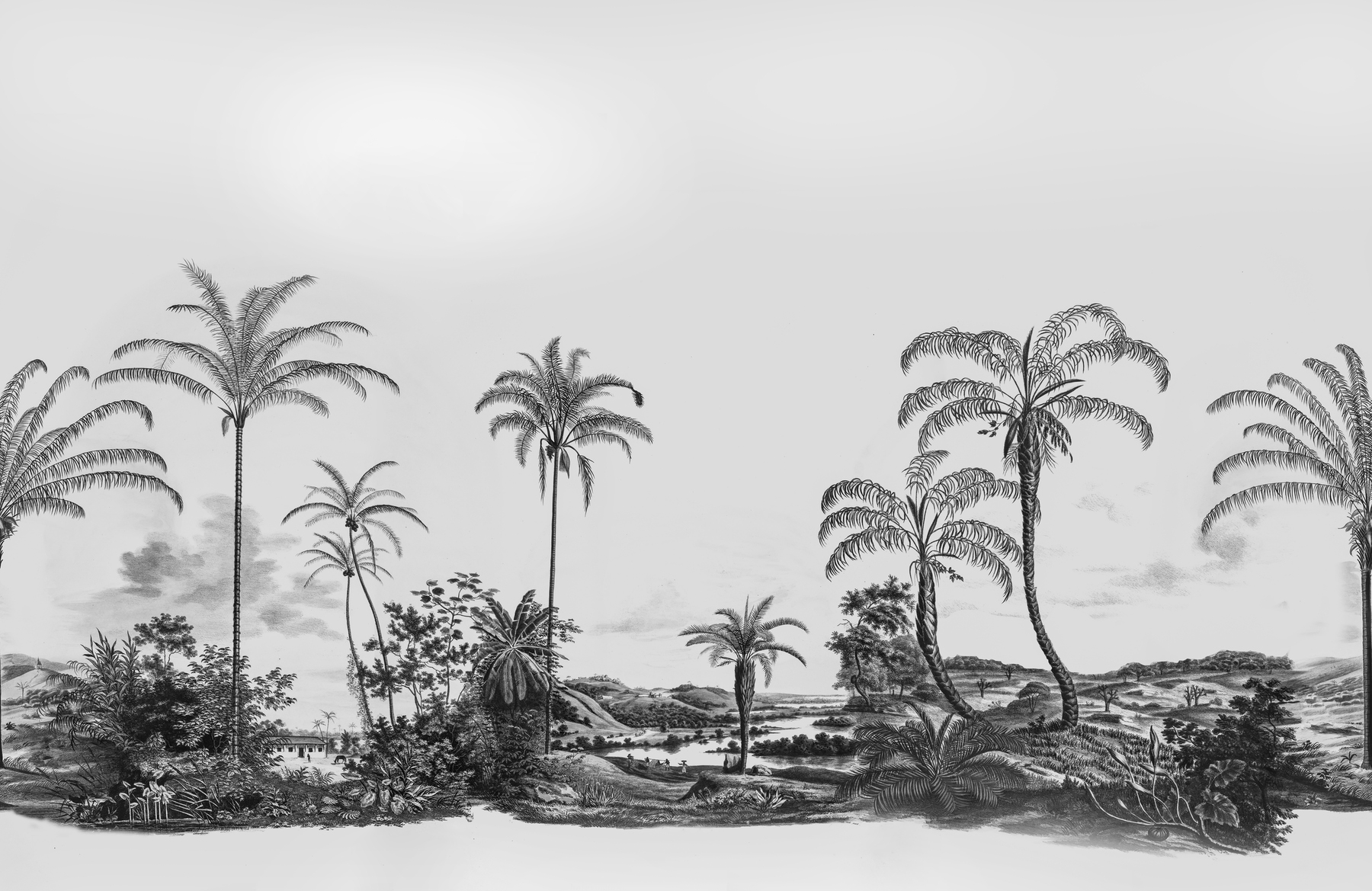 Explore the Tropics Wallpaper | Happywall