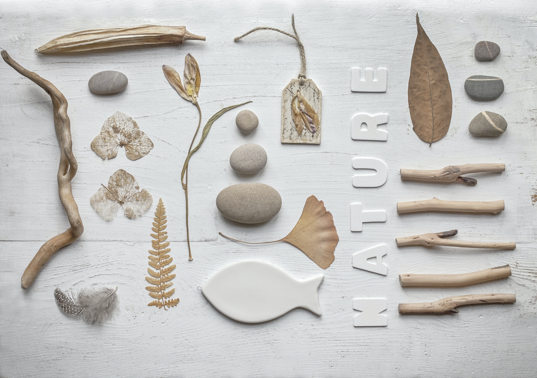 Nature Collage with Fish Wallpaper | Happywall