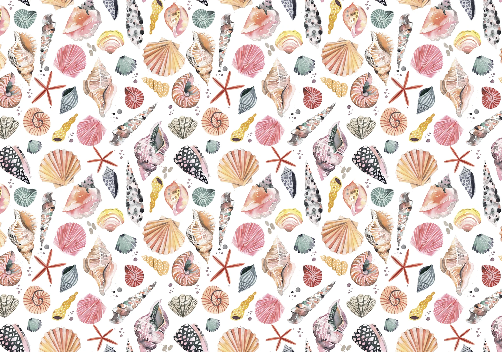 Seashells Mediterranean Ocean Wallpaper - Buy Online - Happywall
