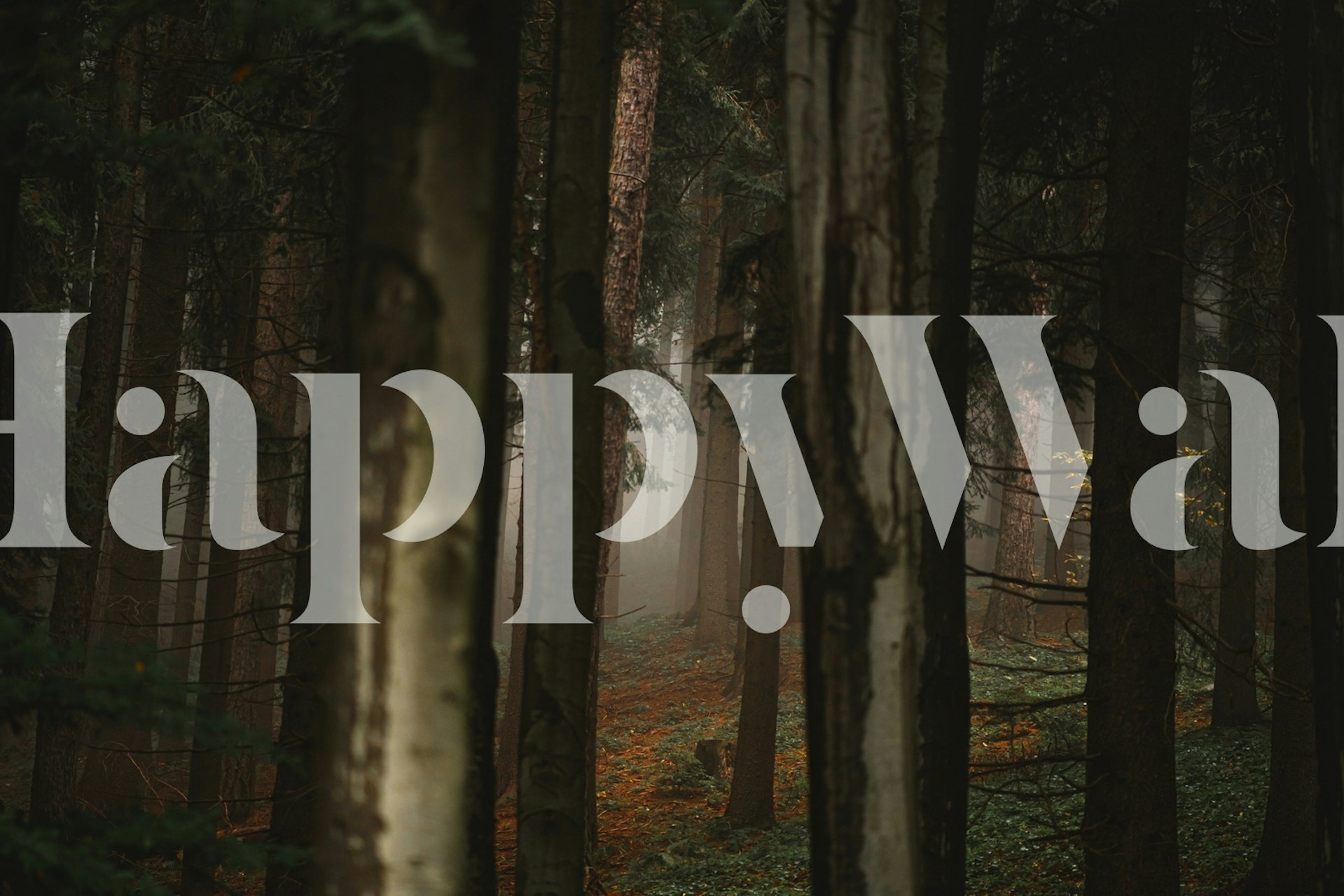 Forest Hideout Wallpaper | Happywall