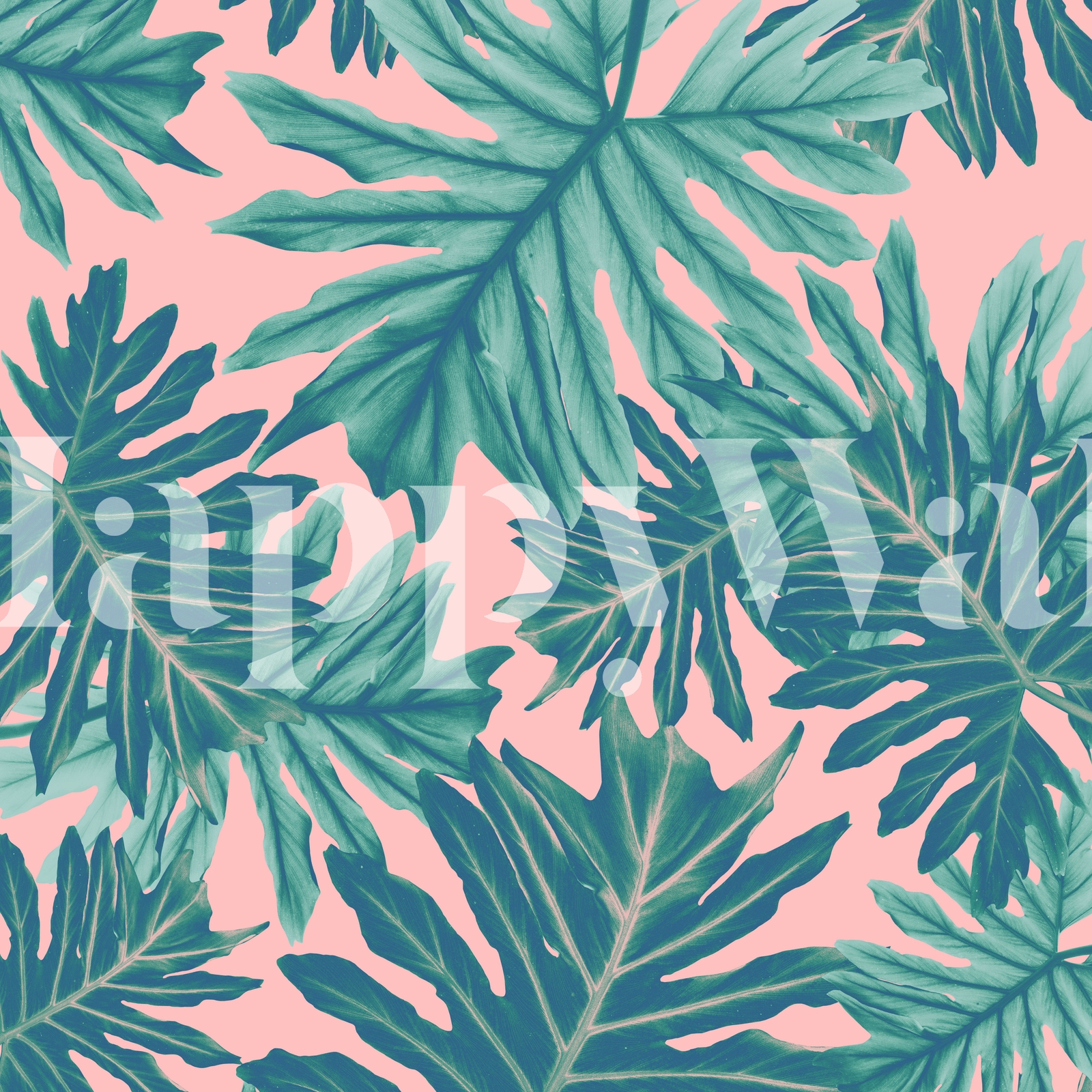 Philo Hope Tropical Jungle 7 Wallpaper | Buy Online at Happywall