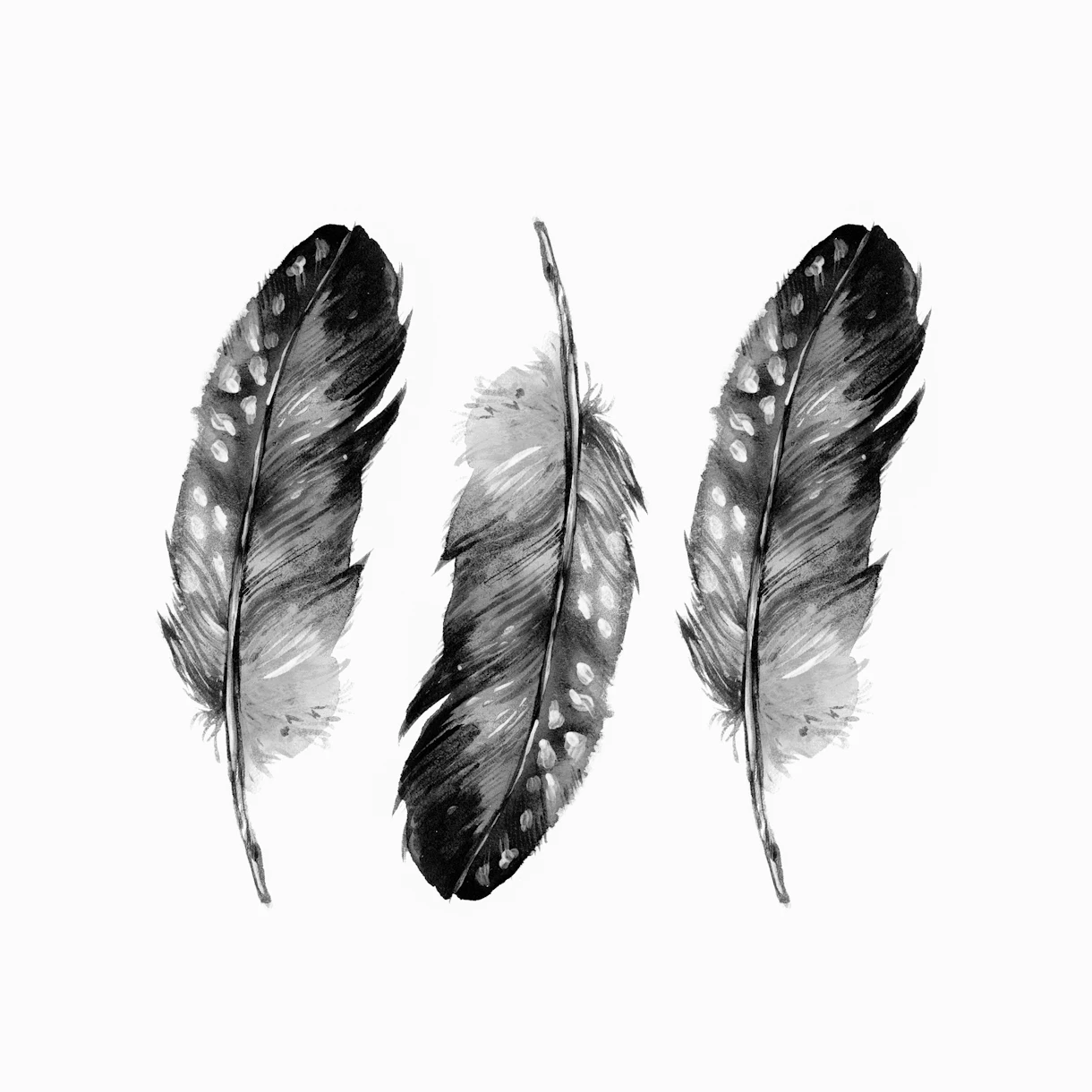 Three Feathers Black And White wallpaper - Happywall