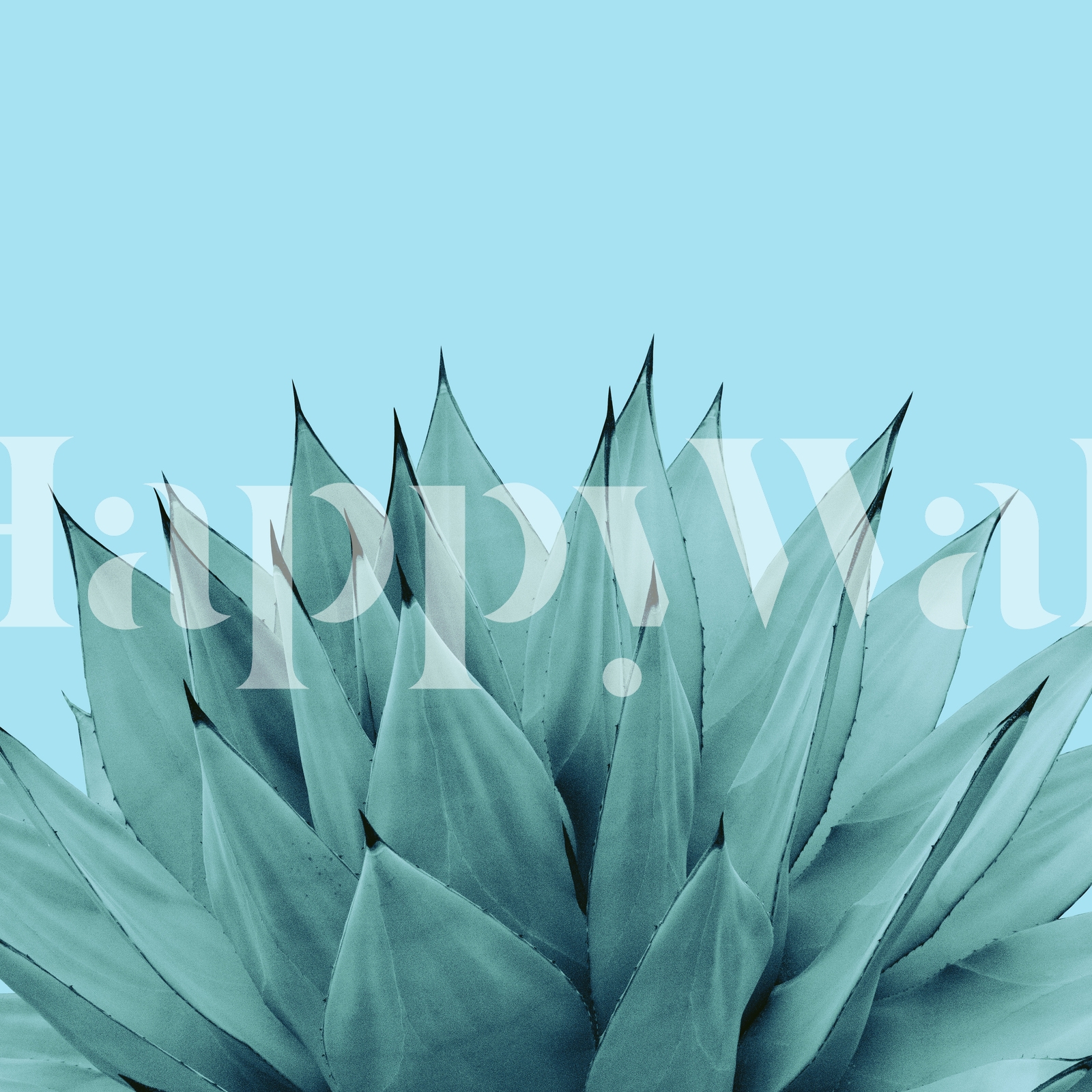 Agave Vibes 6 Wallpaper for a Stunning Desert Oasis | Happywall