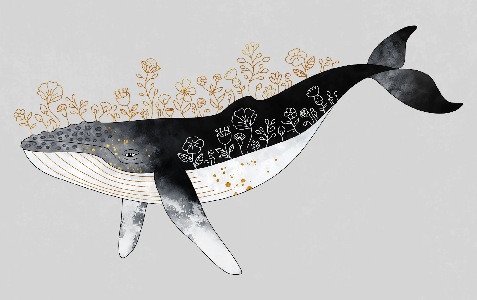 Designer Elisabeth Fredriksson | Happywall