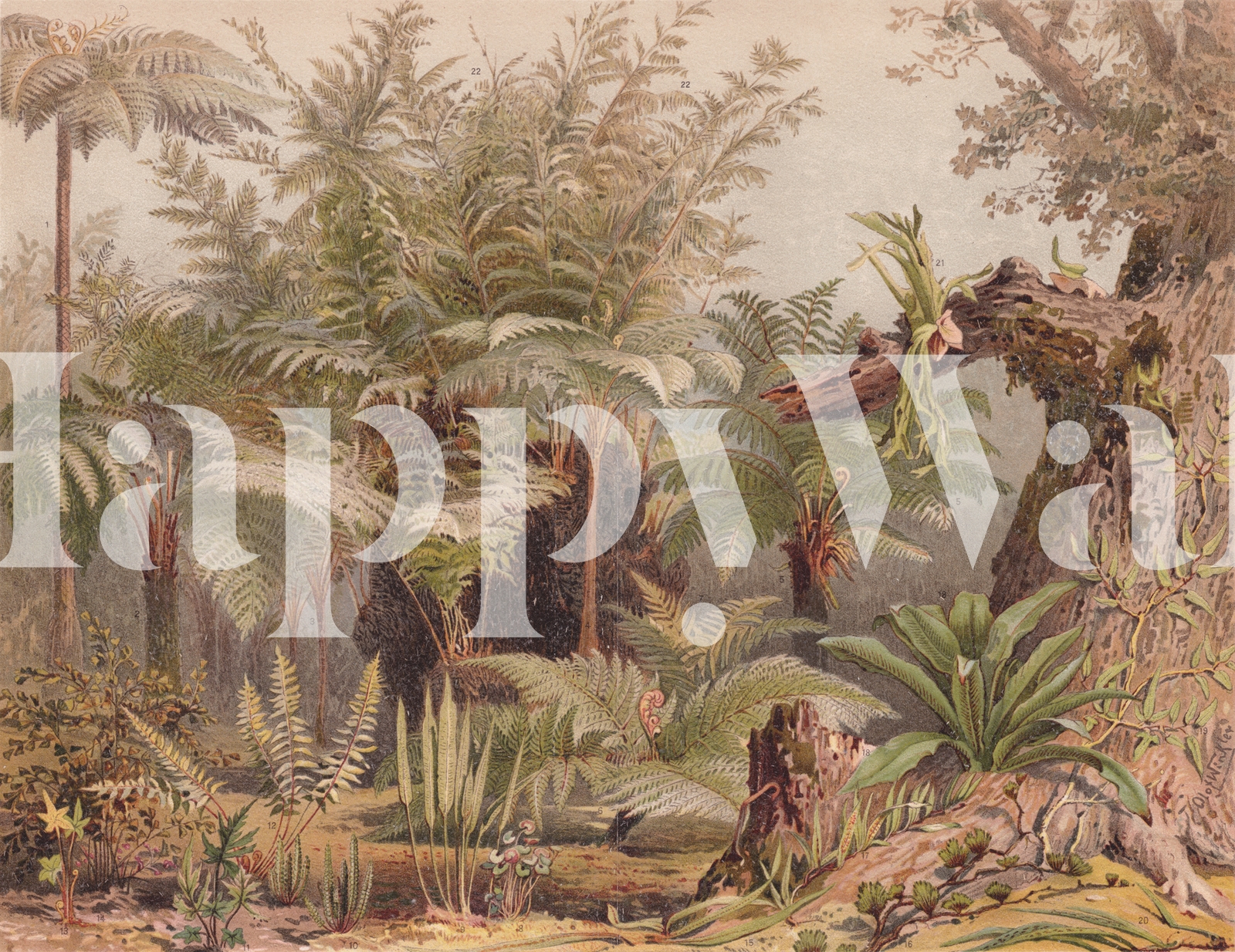 Tropical Forest Aster Wallpaper | Happywall