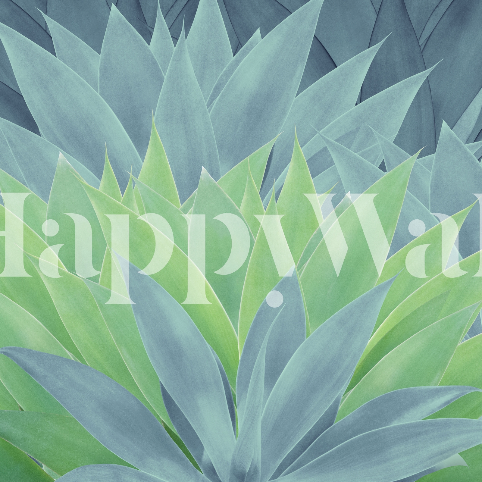 Agave Ocean Dream 1 Wallpaper | Happywall