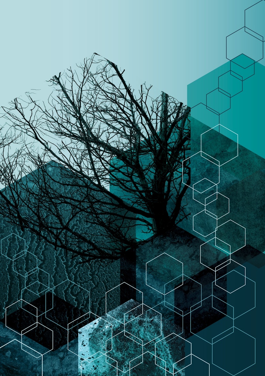 Teal Tree 2 wallpaper - Happywall