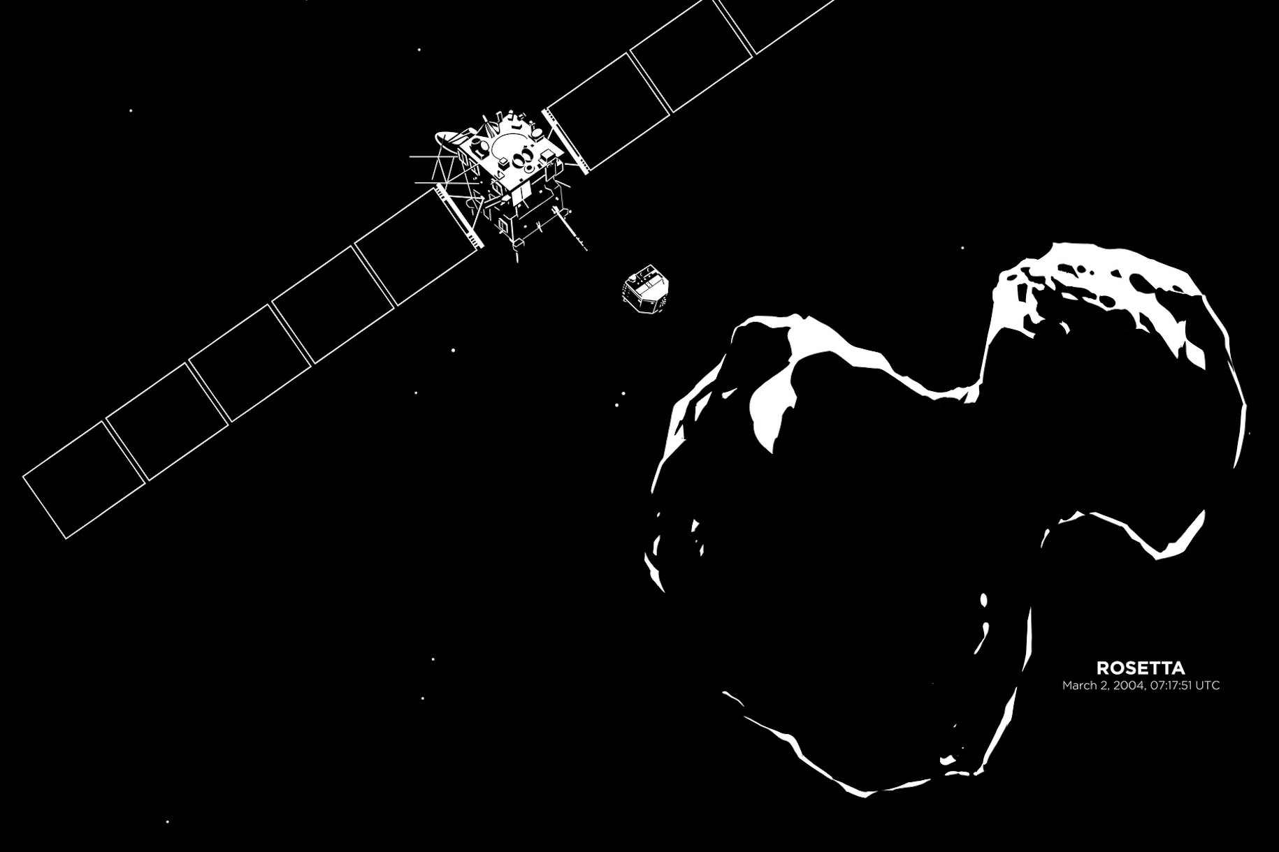 Rosetta wallpaper - Happywall