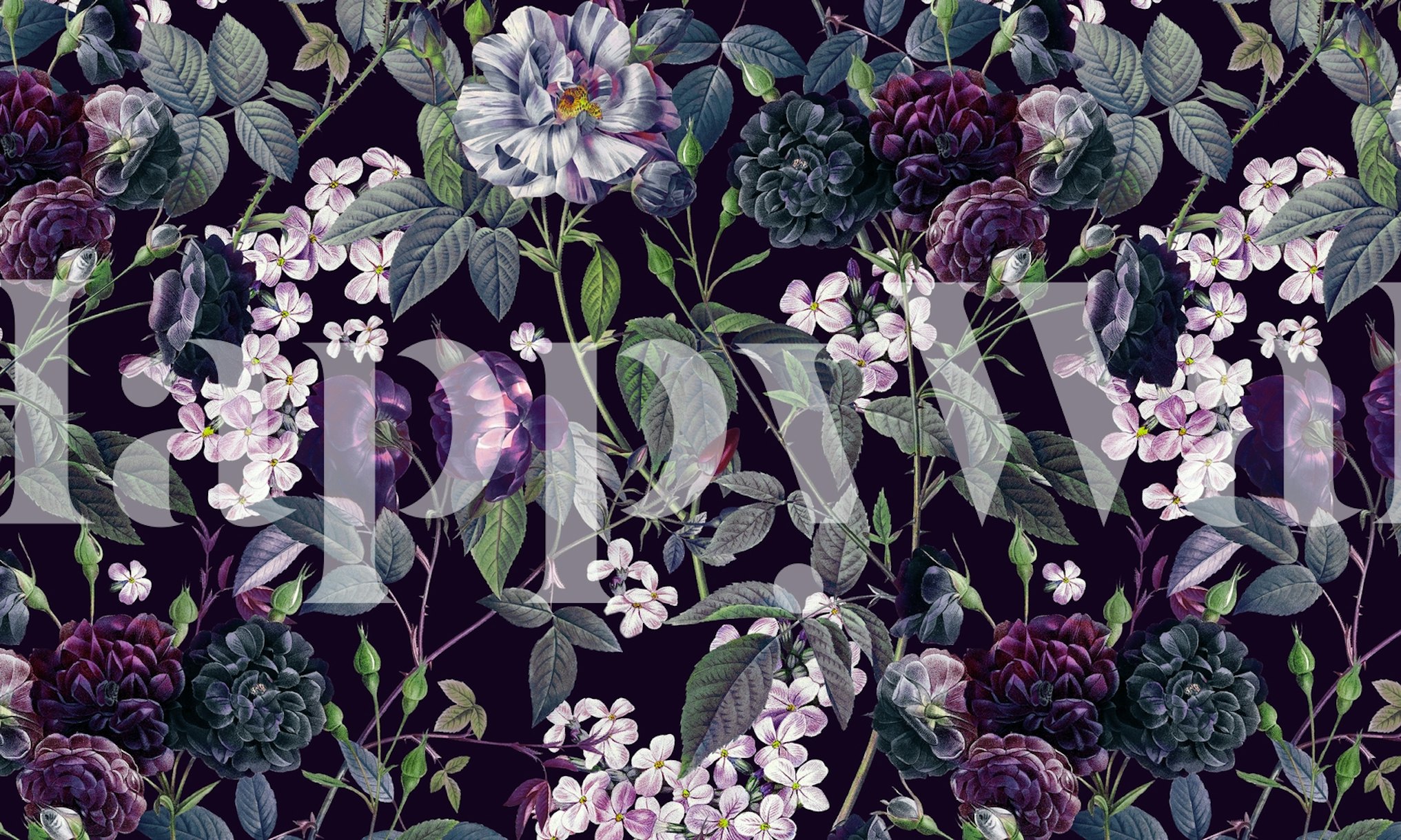 Rose Garden - Night II wallpaper - Happywall