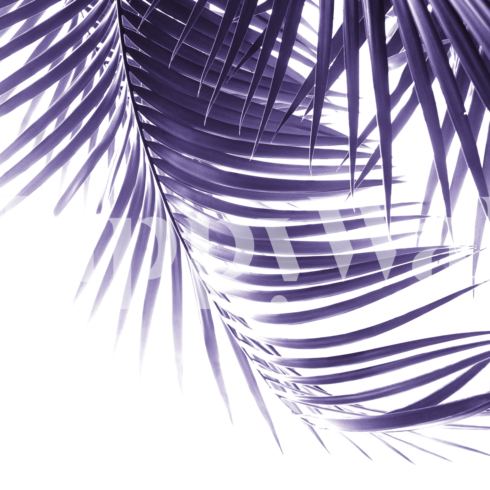 Purple Tropical Palm Leaf Wallpaper