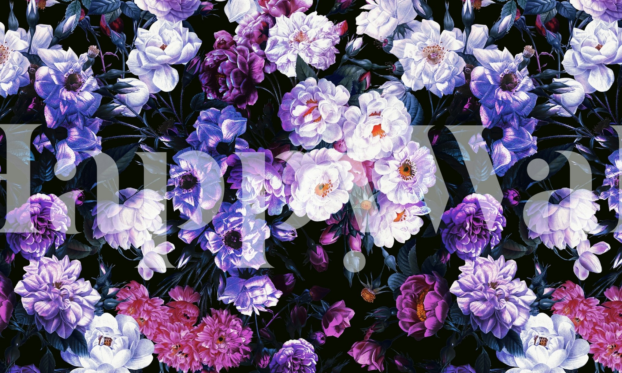 Rose Garden Night III Wallpaper | Happywall