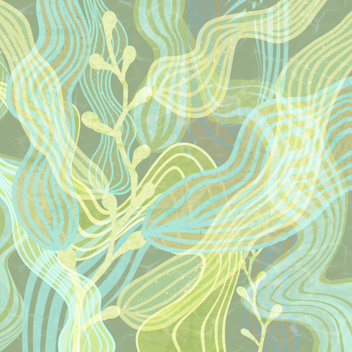 Sea Kelp Forest Square Wallpaper | Happywall