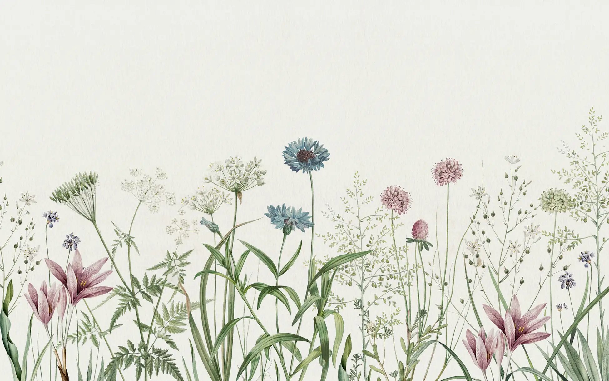 summer field wallpaper - Happywall