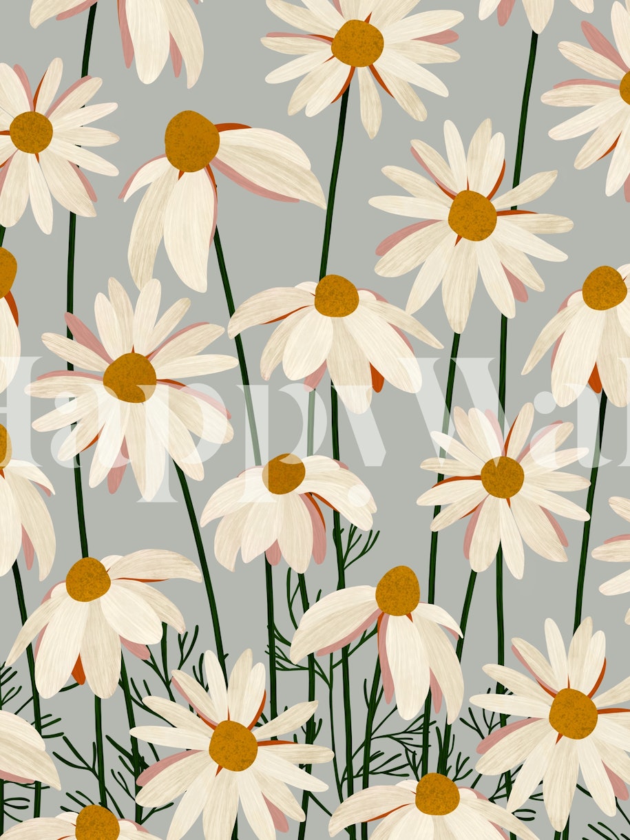 Daisy Wallpaper: Breathtaking Floral Mural Patterns | Happywall