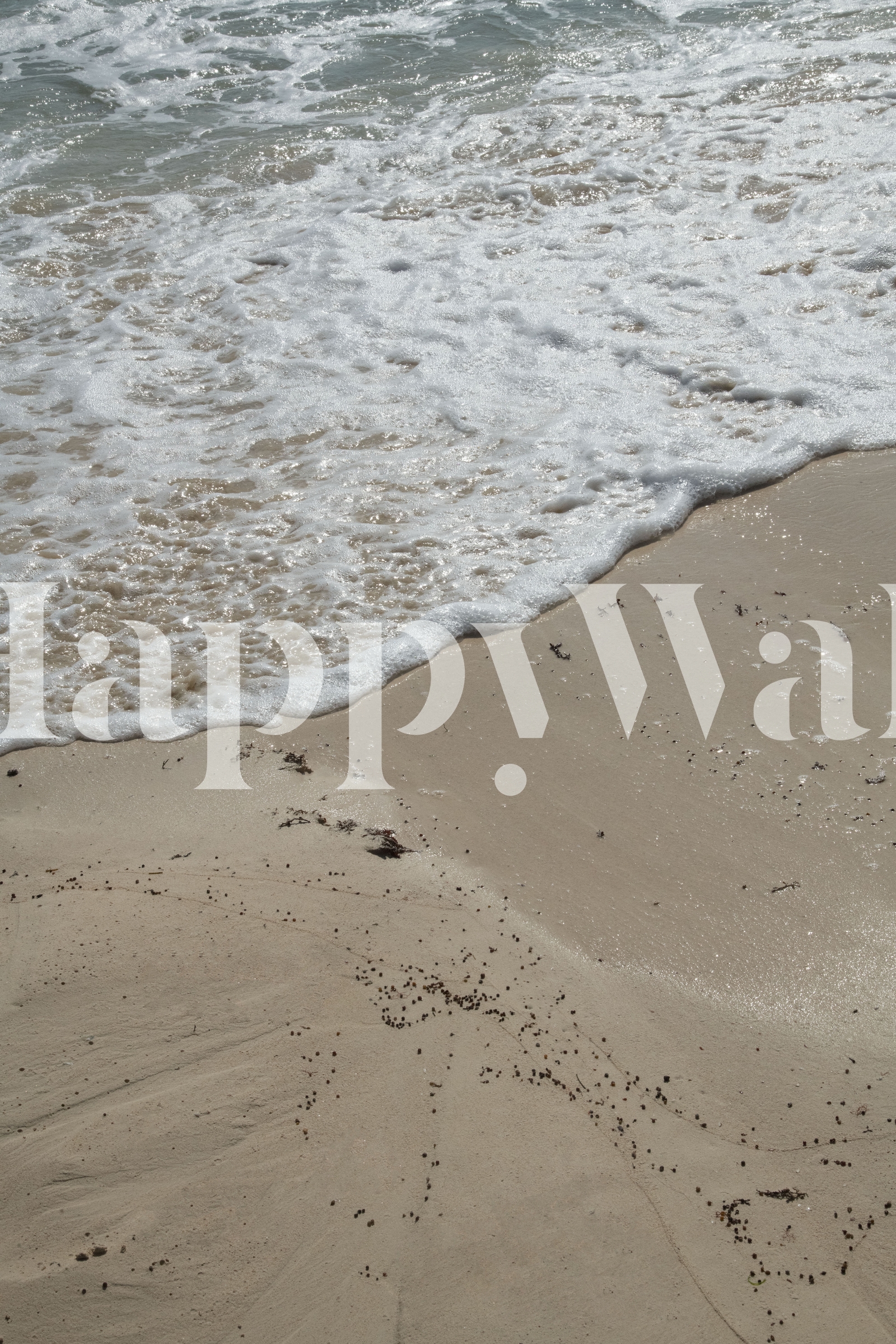 Mexican Ocean Beauty 1 Wallpaper - Buy Now on Happywall