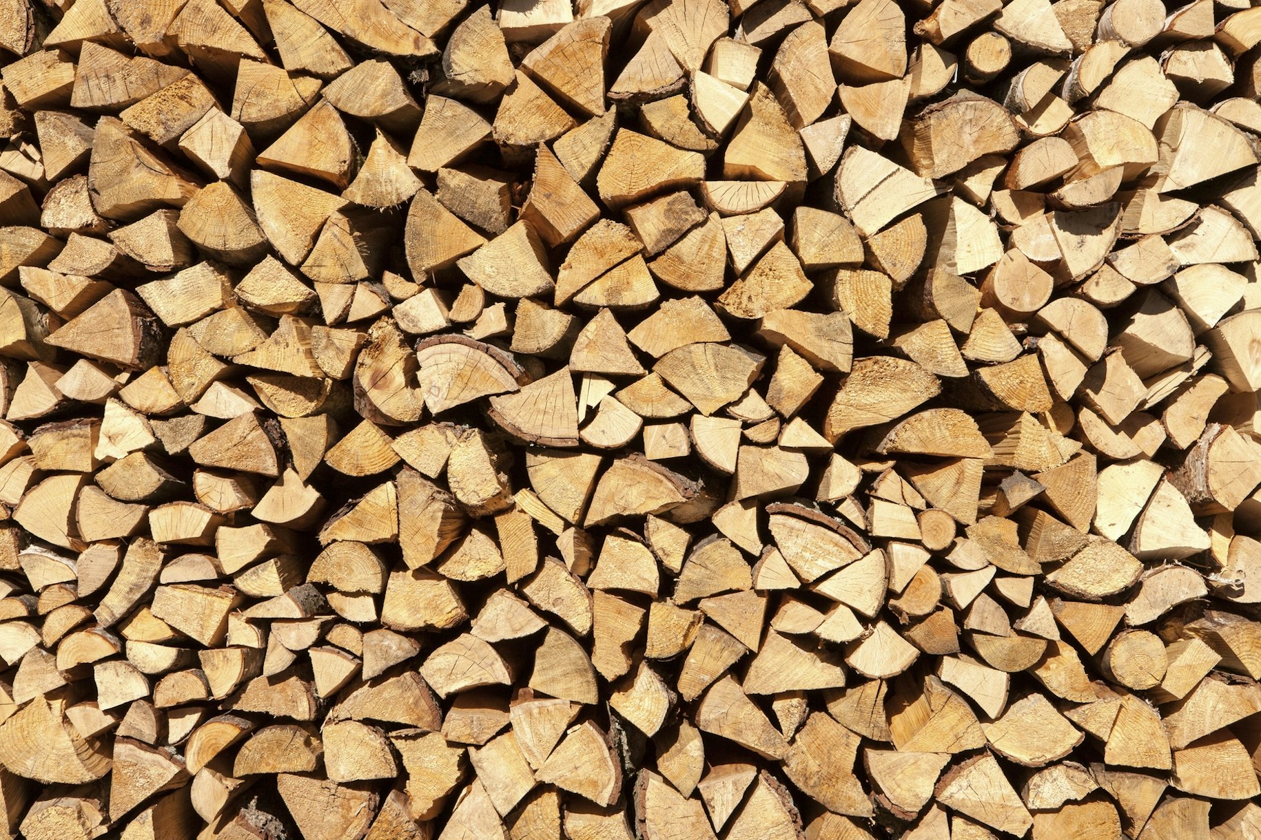 Log Pile Wallpaper | Happywall