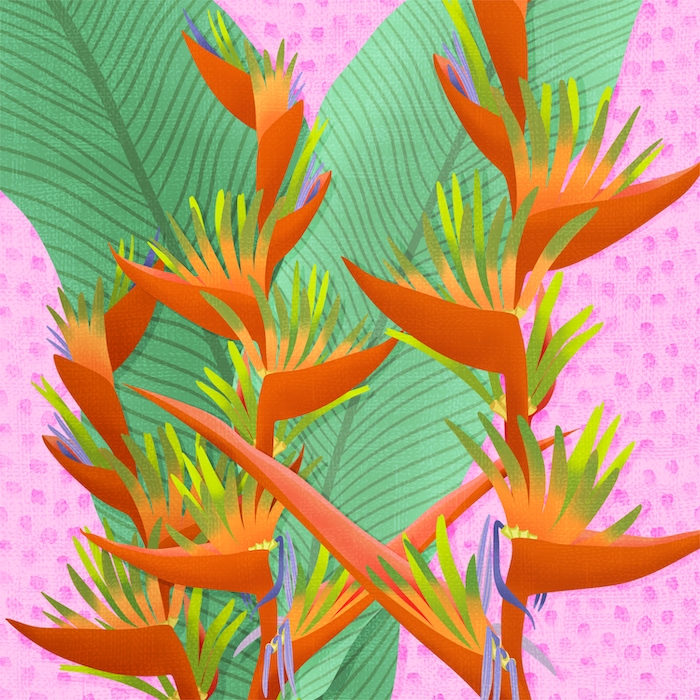 Buy Bird of Paradise Square Wallpaper Online | Happywall