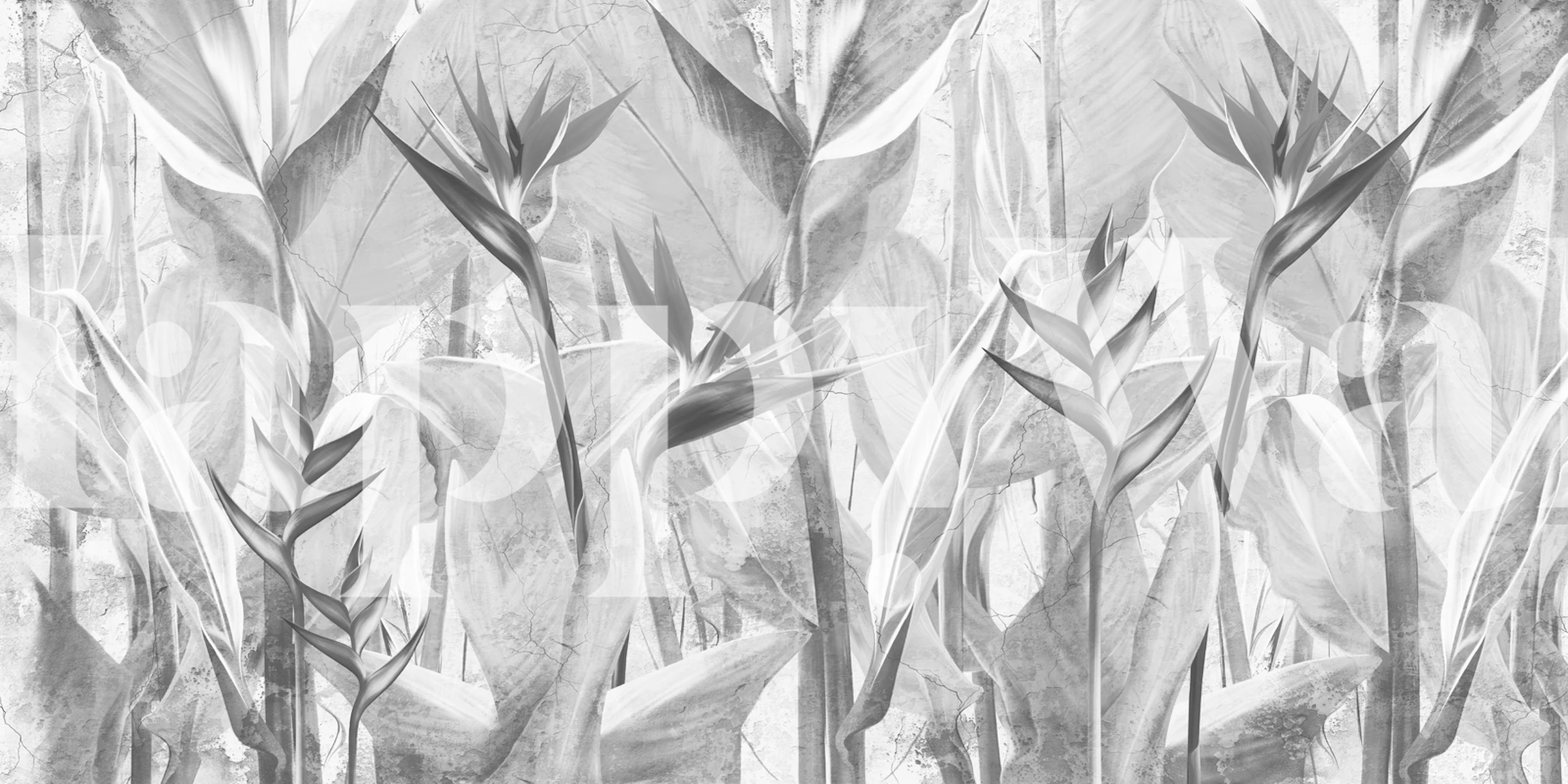 Tropical grey leaves wallpaper - Happywall