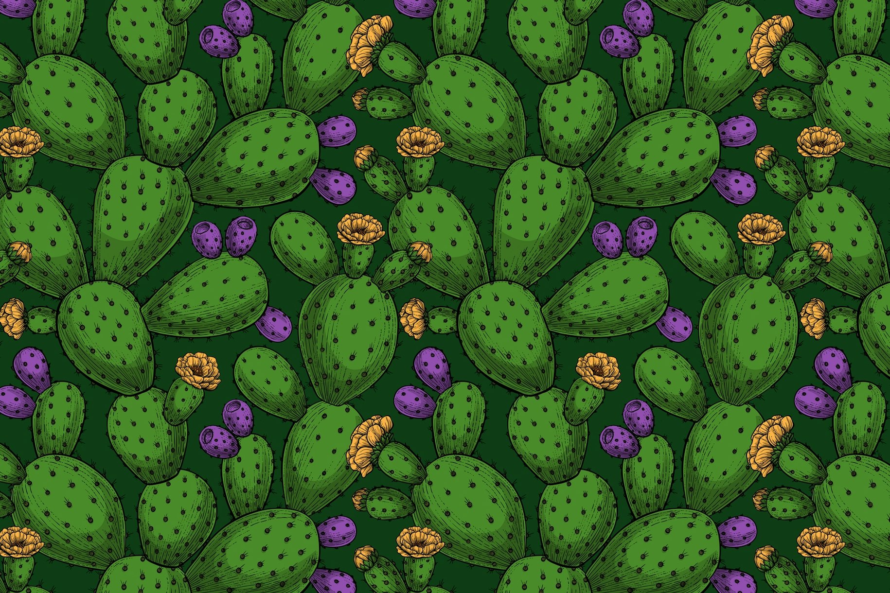 Opuntia cactus 4 wallpaper | Happywall