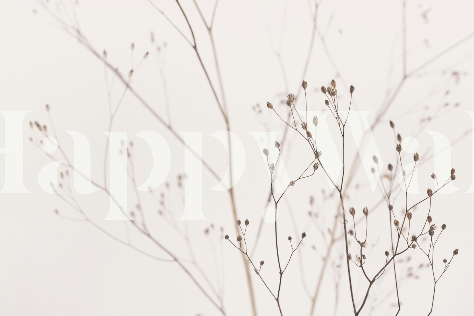 Wildflowers Natural Beige 2 Wallpaper - Buy Online | Happywall