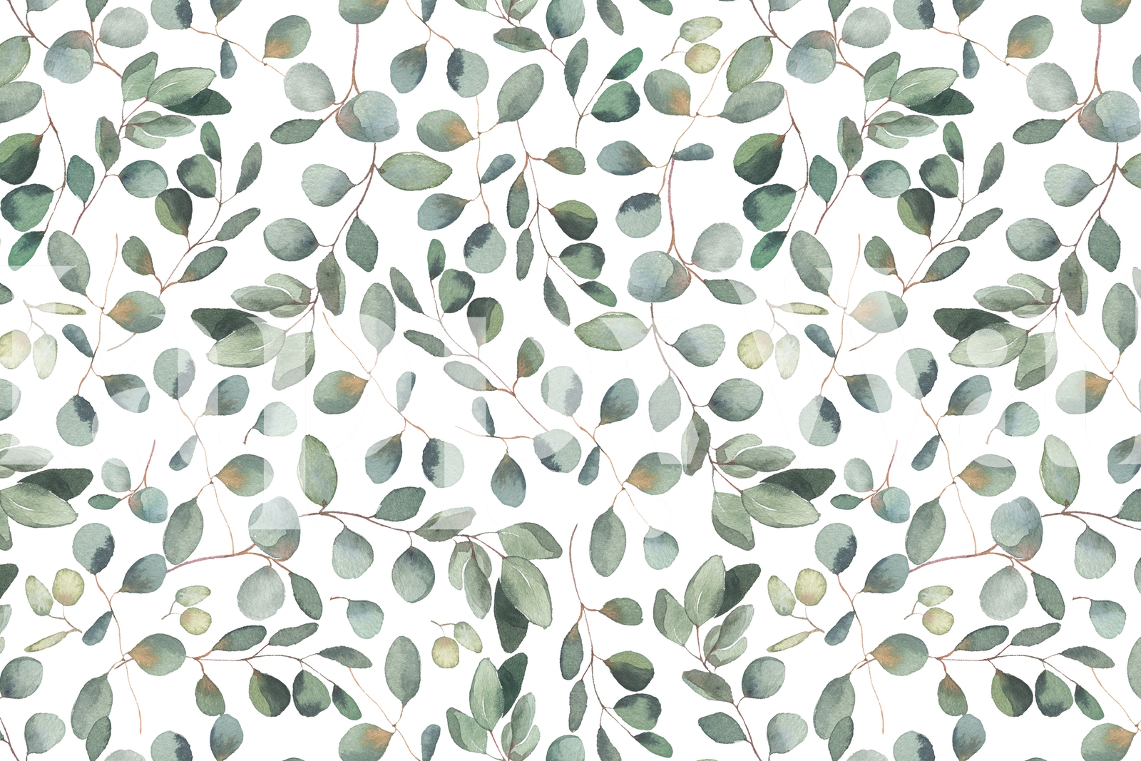 Eucalyptus Meadow Wallpaper | Happywall.com