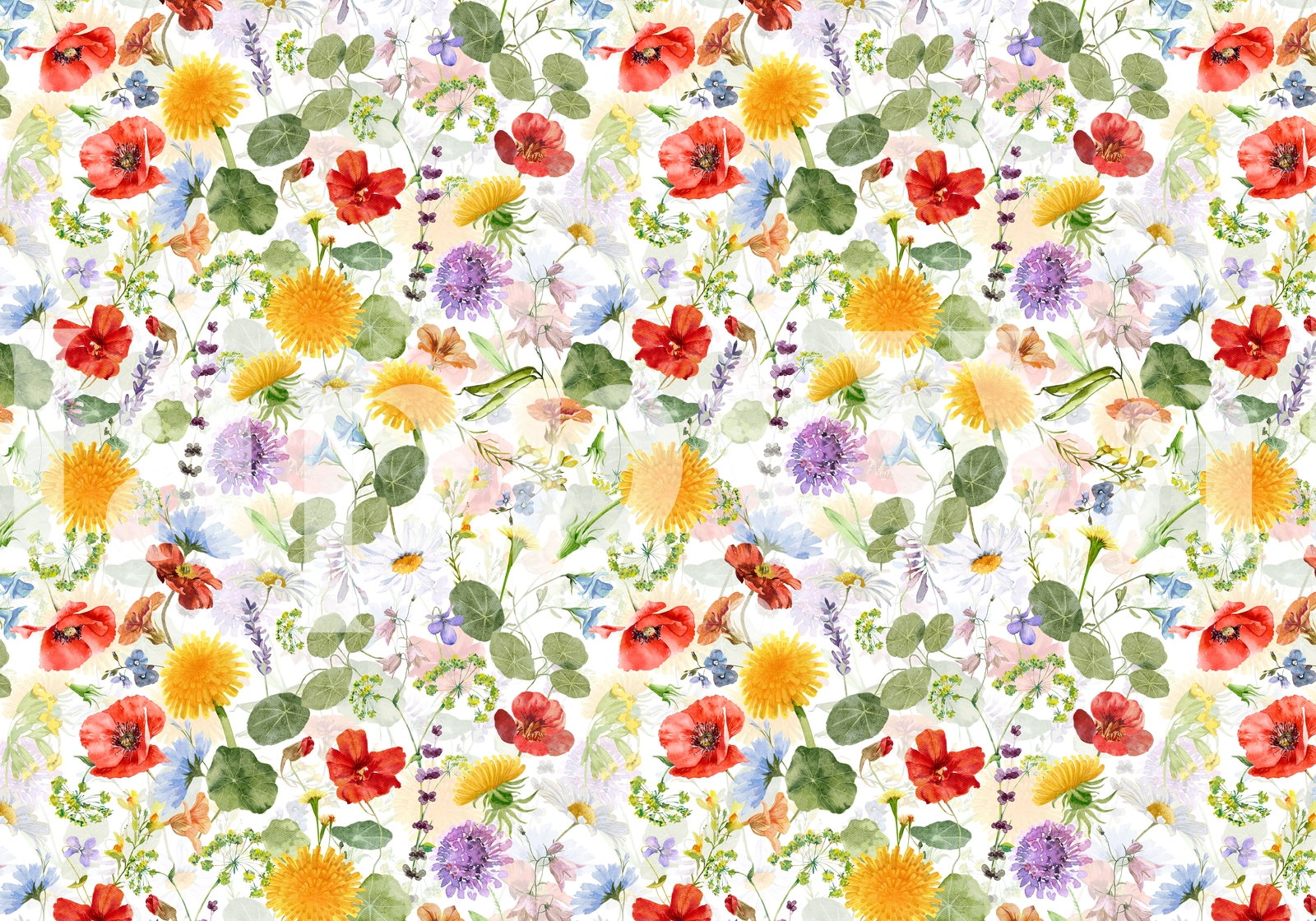 Spring Flowers Meadow 2 Wallpaper | Buy Online from Happywall