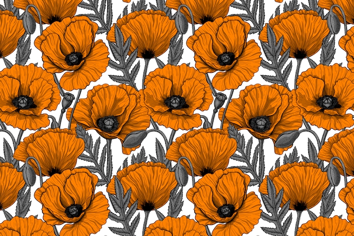 Orange Floral Wallpaper with Poppies