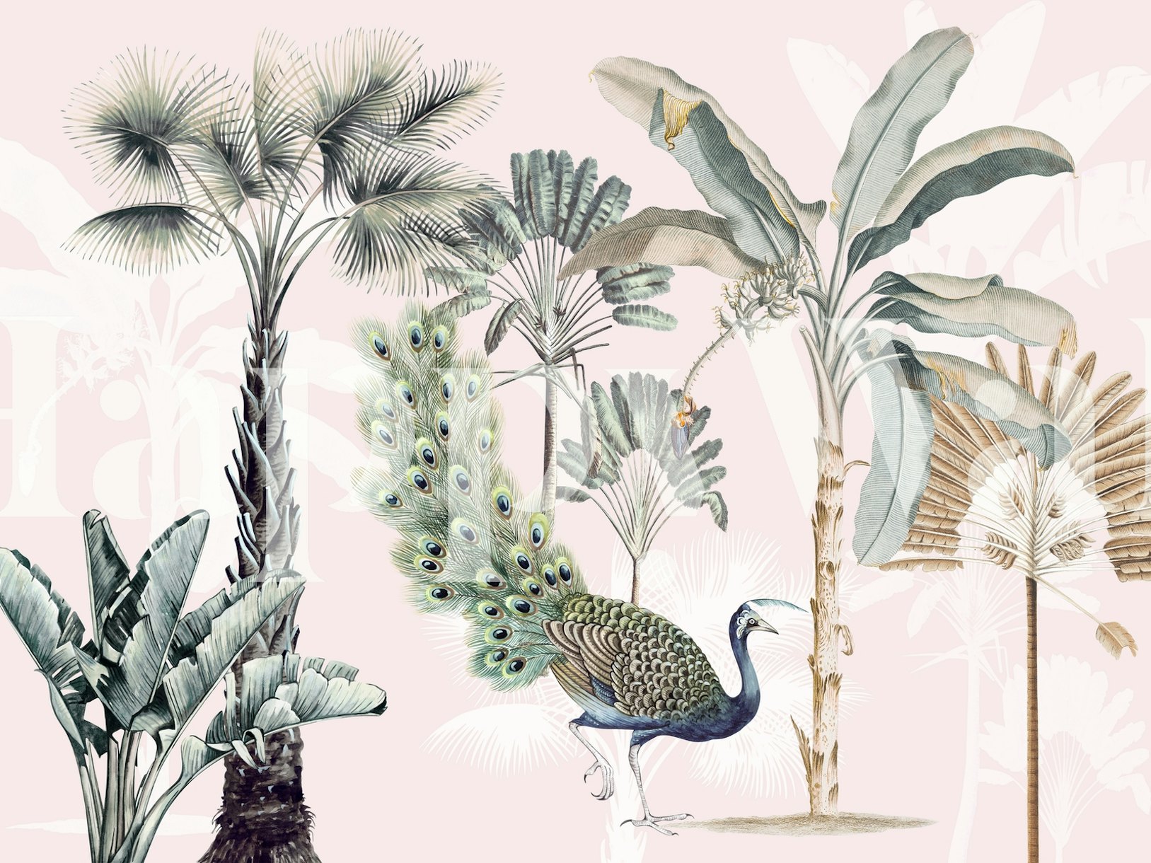 Pink Jungle Wallpaper | Happywall.com