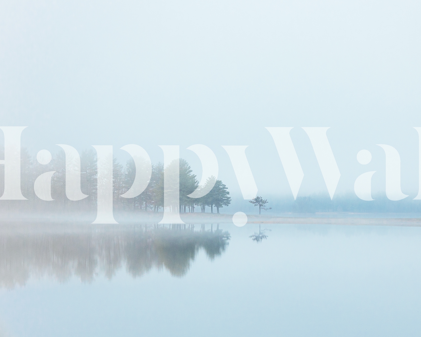 Foggy Morning Lake Landscape Wallpaper