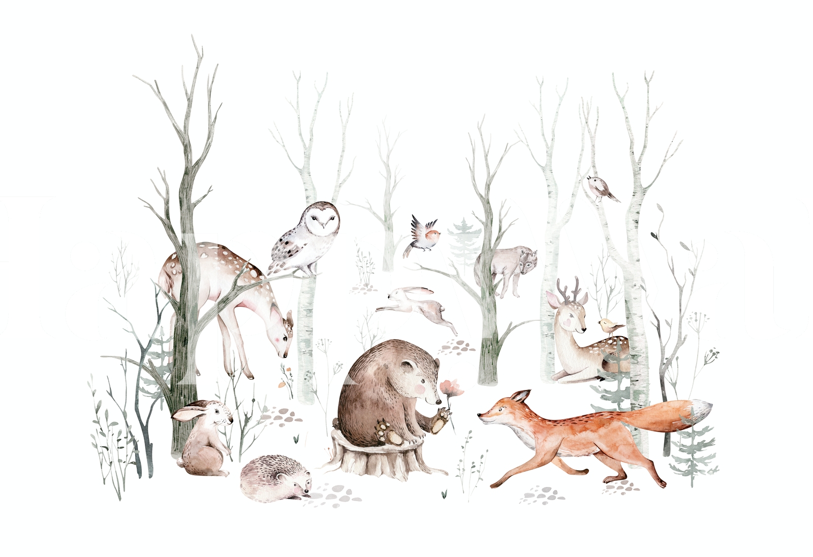 Happy Forest II Wallpaper - Buy Online | Happywall