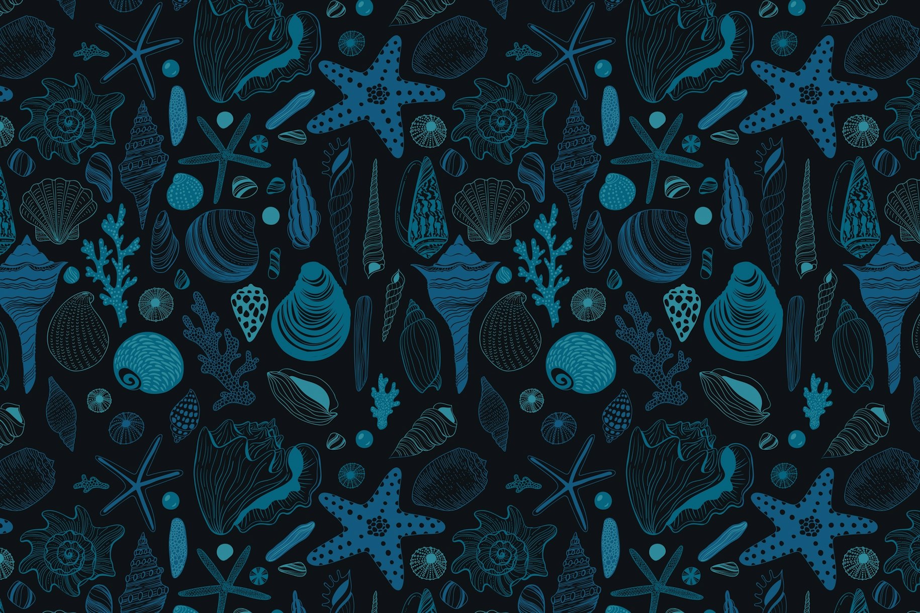 Sea Shells 2 Wallpaper - Beach Themed Wall Decor | Happywall