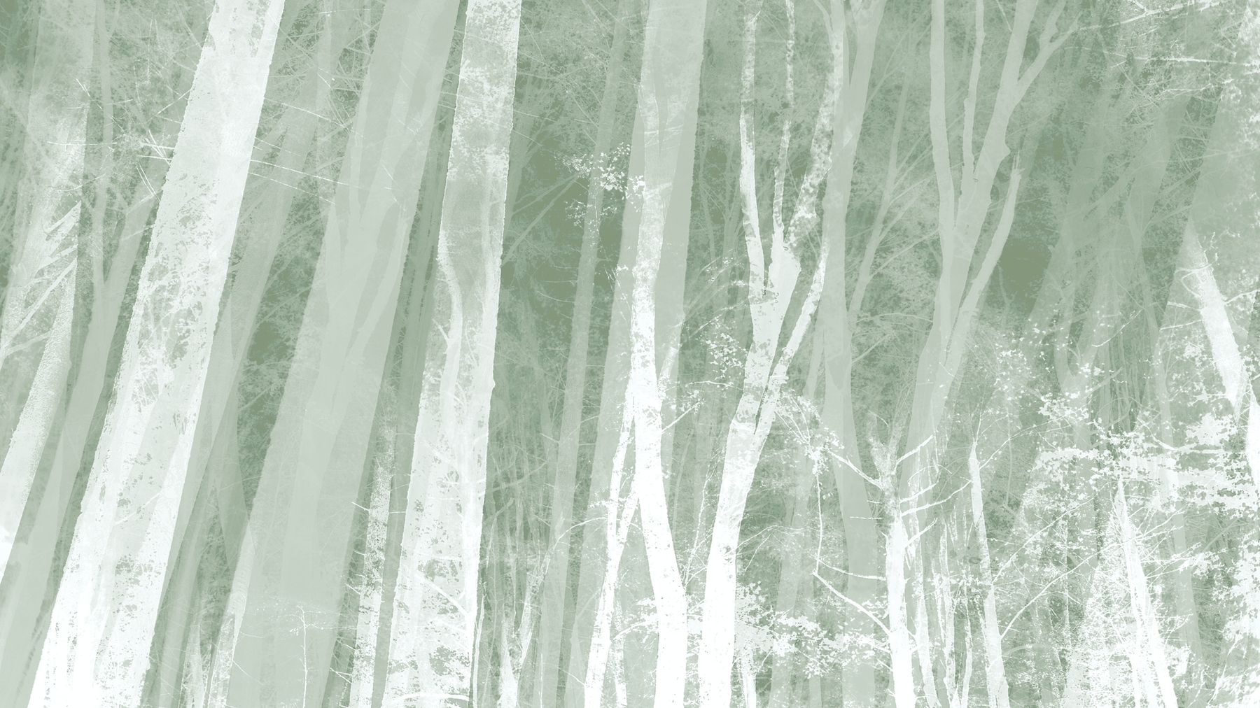 Soft Forest Wallpaper - Beautiful Nature Wall Mural | Happywall