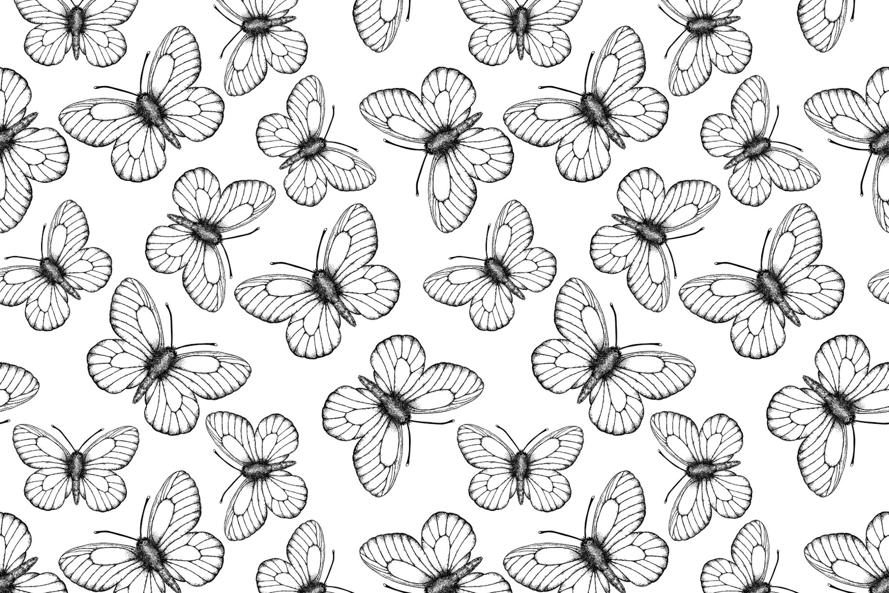 White Butterfly Pattern Wallpaper | Buy Online at Happywall