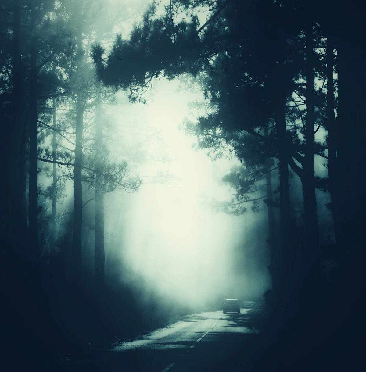 Passage Wallpaper - Unique and High-Quality Wallpapers - Happywall