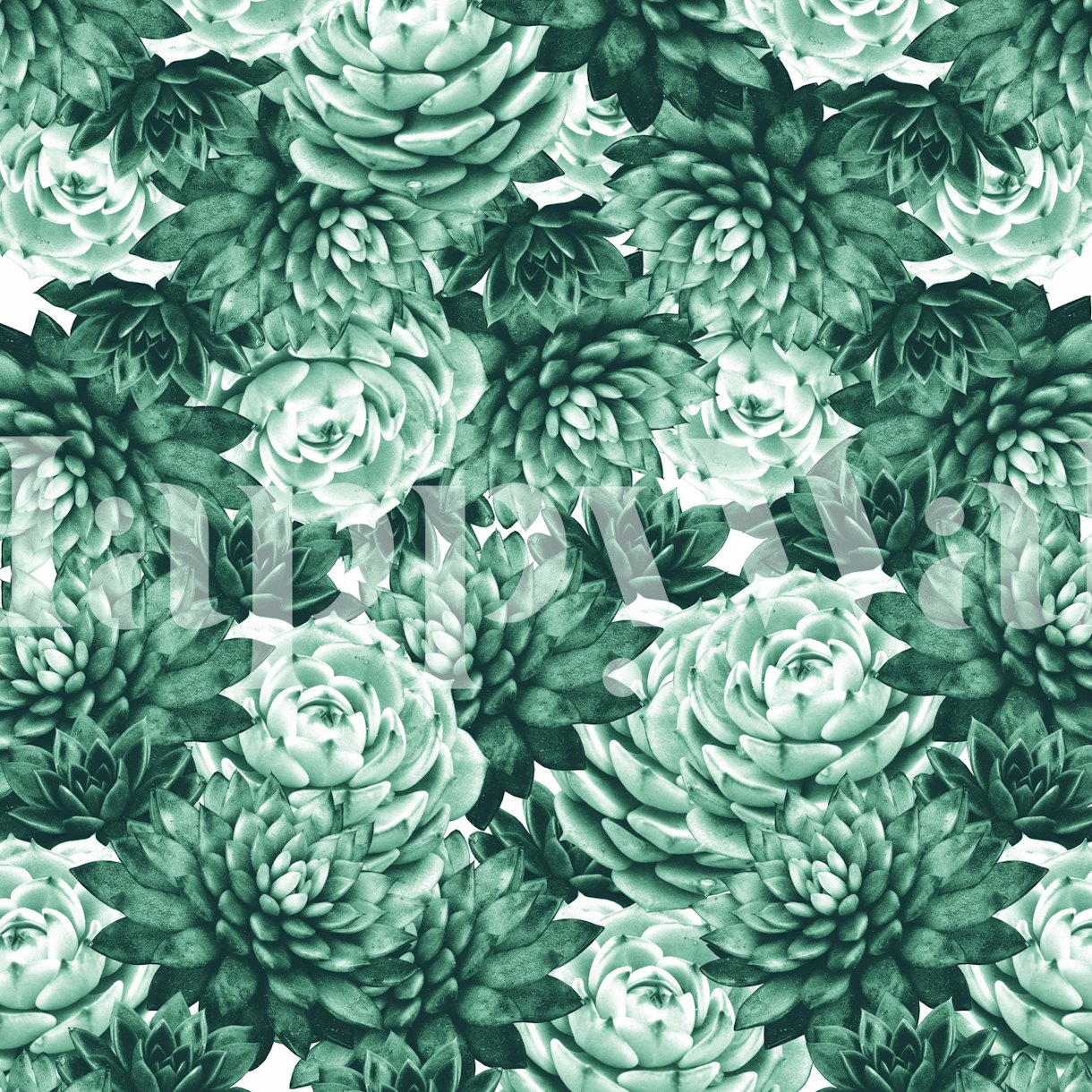 Buy Succulent Pattern 1 Wallpaper Online | Happywall