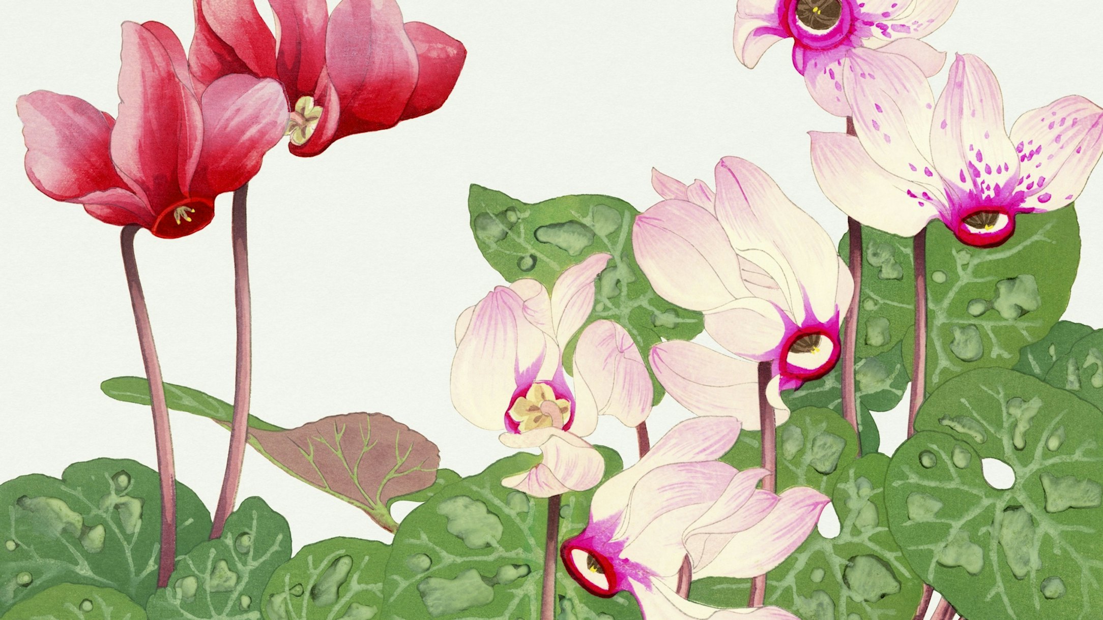 Japanese Viola Floral Wallpaper - Happywall