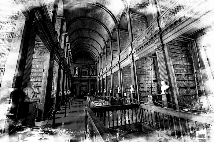 Black and White Library Wallpaper
