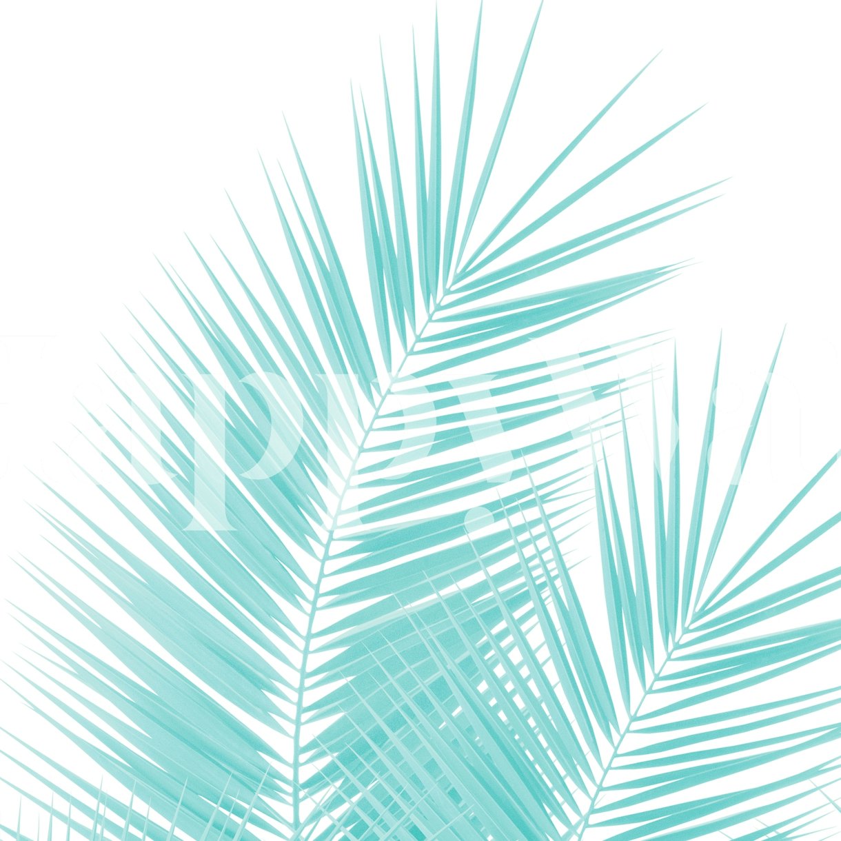 Soft Turquoise Palm Leaves Wallpaper | Happywall