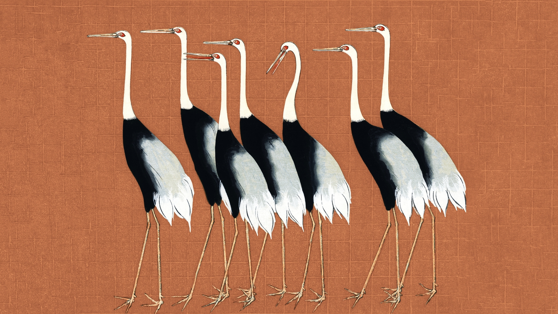 "Buy Japan Cranes on Warm Colors Wallpaper | Happywall"