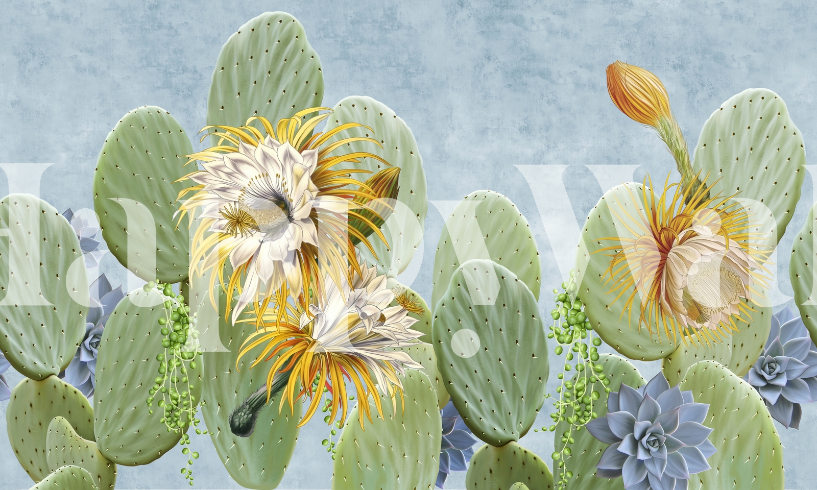 Cactus Floral Wallpaper on Blue Background