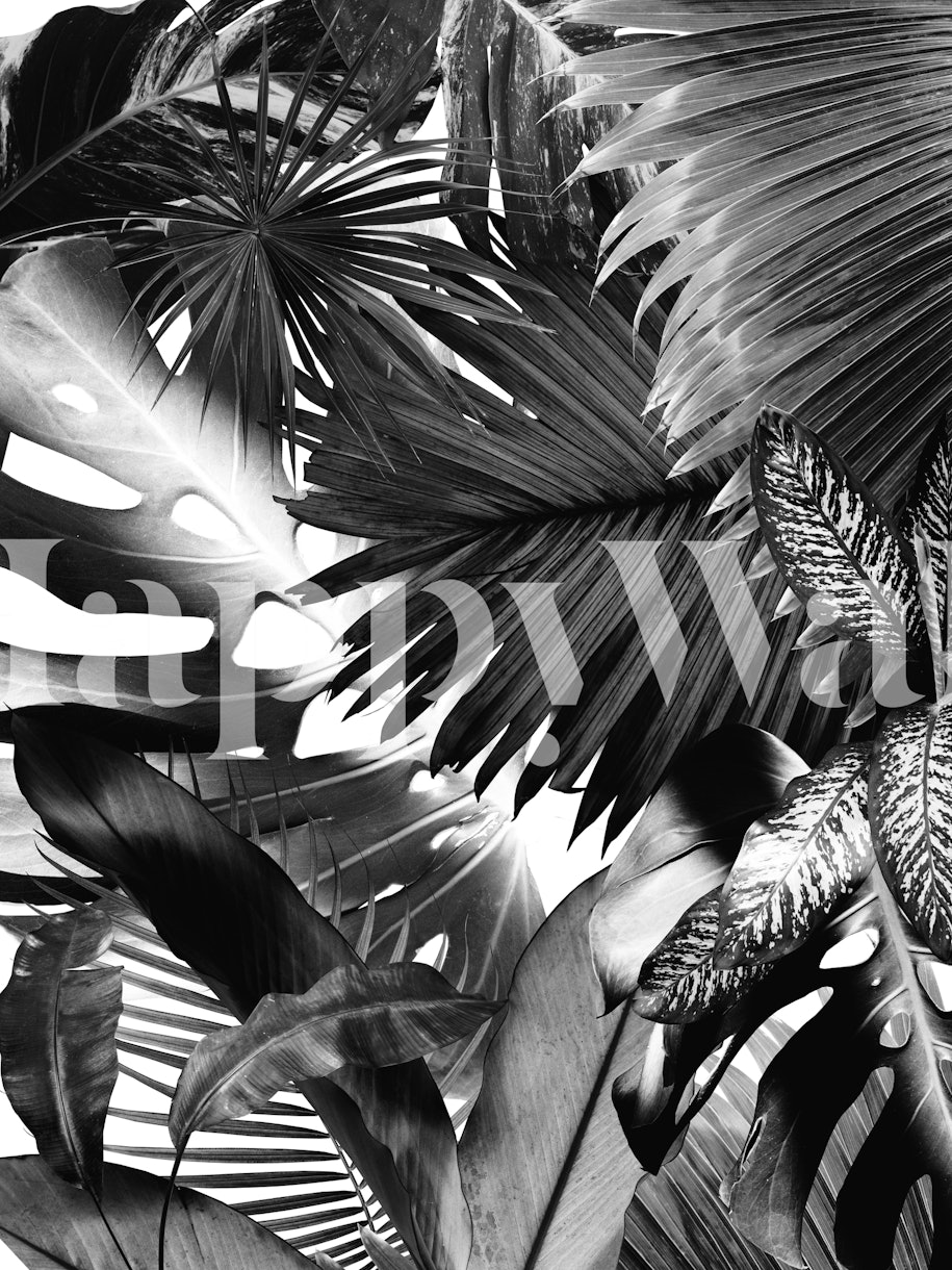 Dushi Jungle Bliss 3 Wallpaper - Buy Online | Happywall