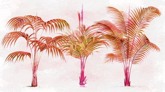 Hot Warm Palm Trees Wallpaper | Happywall.com