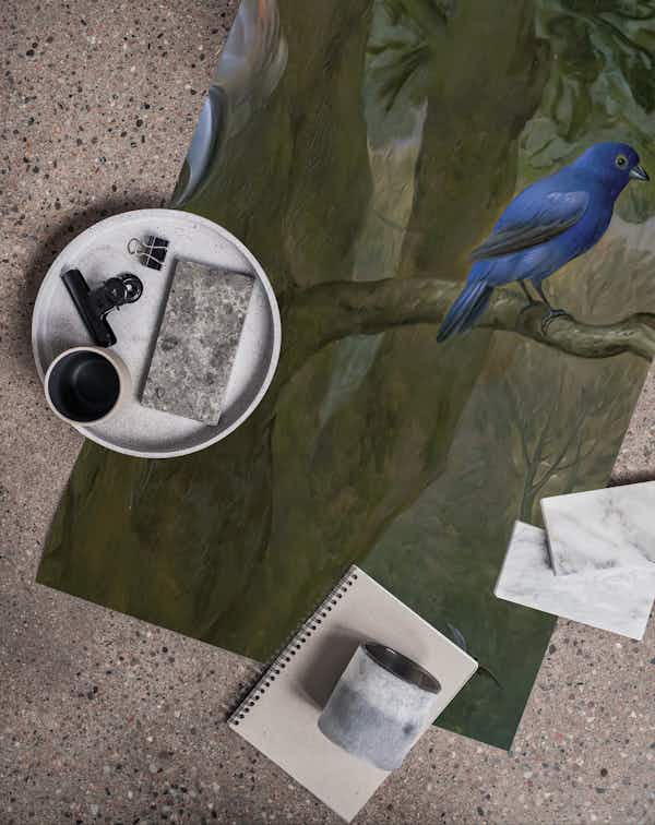 Tropical Bird Still Life wallpaper - Happywall