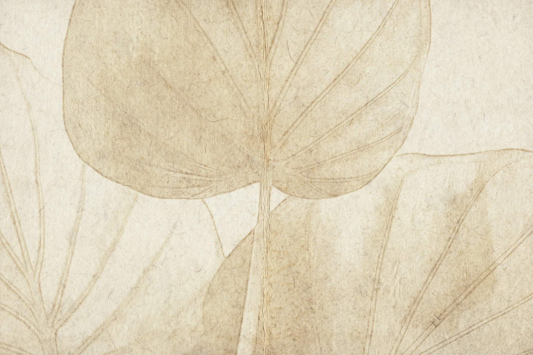 Japandi Leaf behang - Happywall
