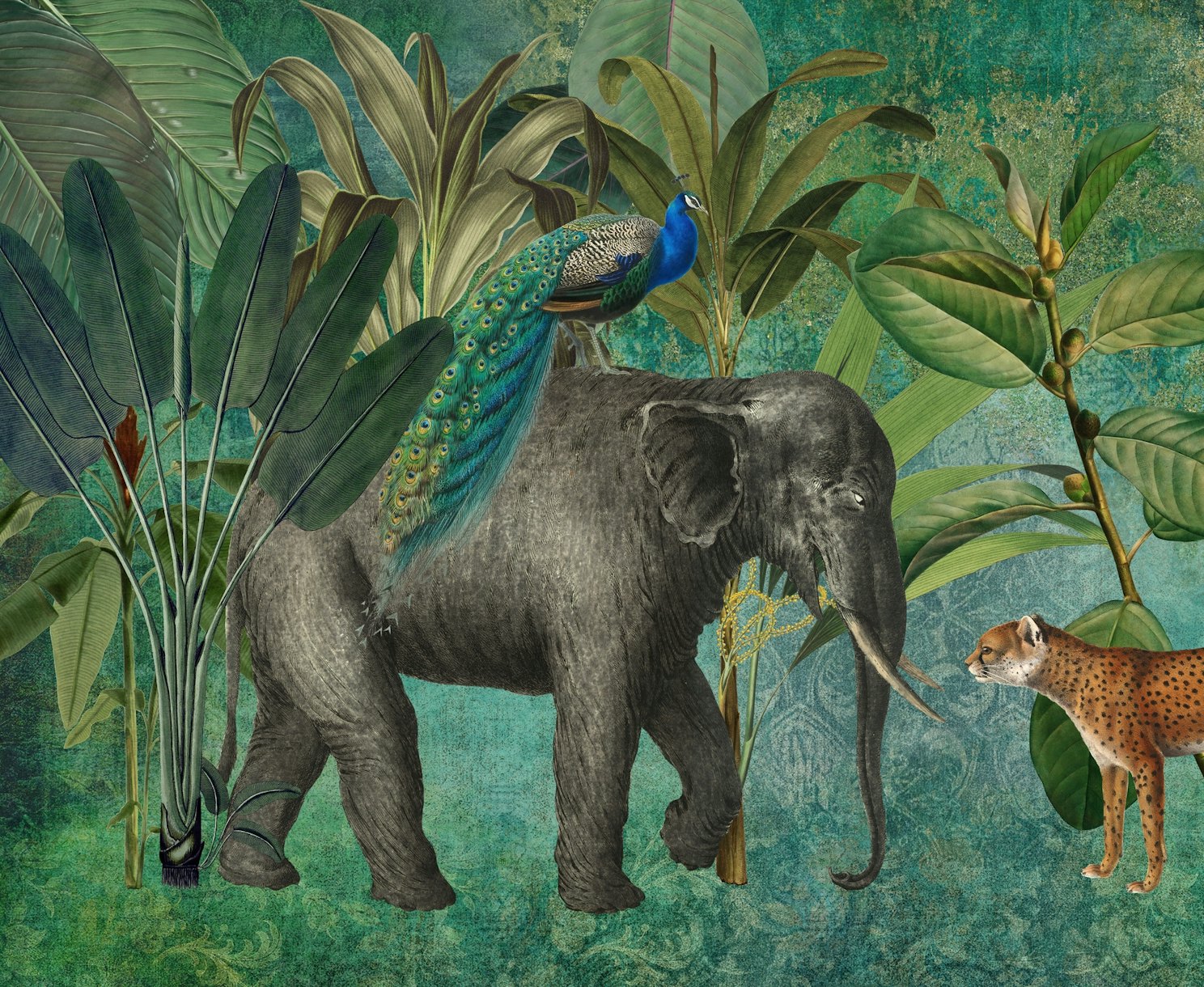 Bring the Jungle to your Walls with the Elephant Paradise Wallpaper ...