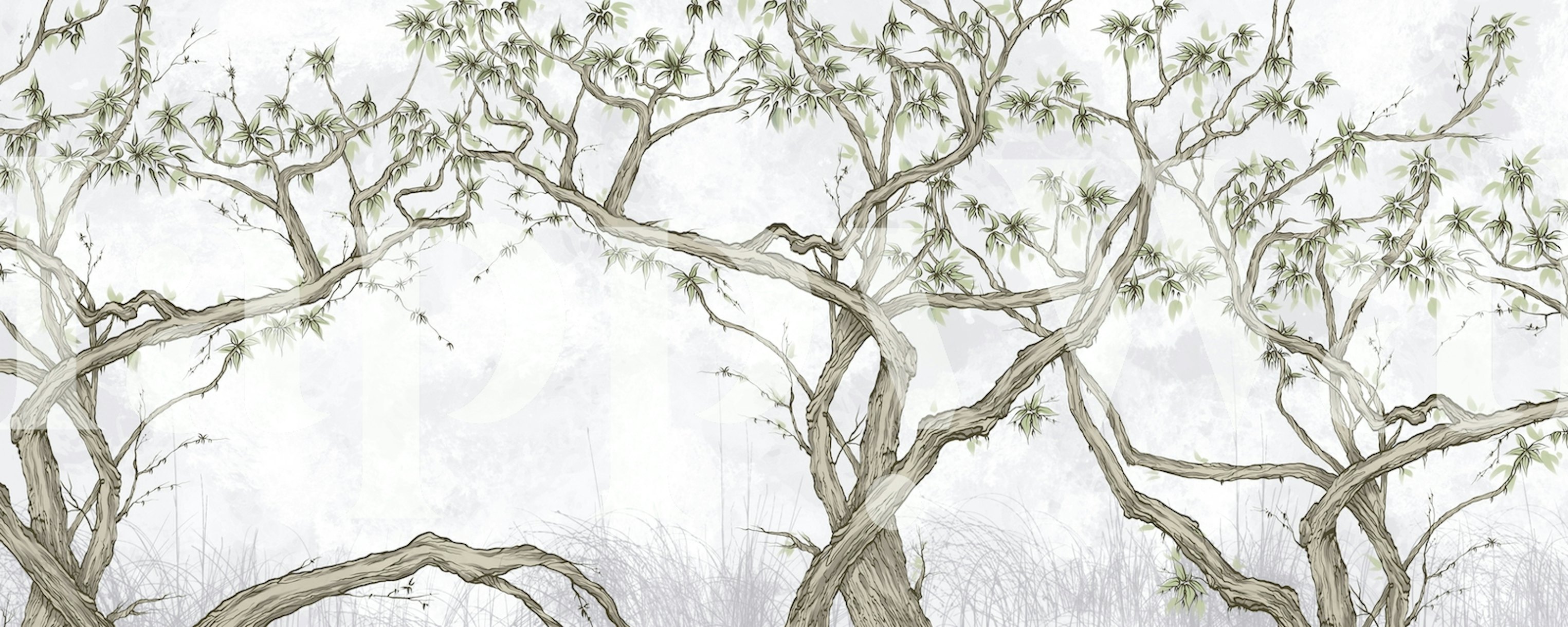 Climbing trees wallpaper - Happywall