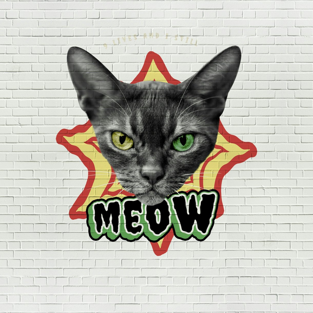 Cat Graffiti Wallpaper | Buy Online at Happywall